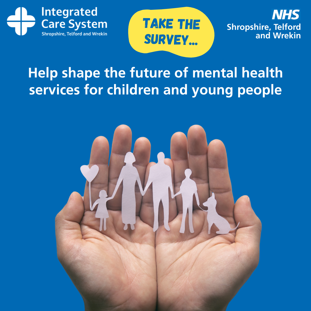 Children and Young People's Emotional Wellbeing and Mental Health ...