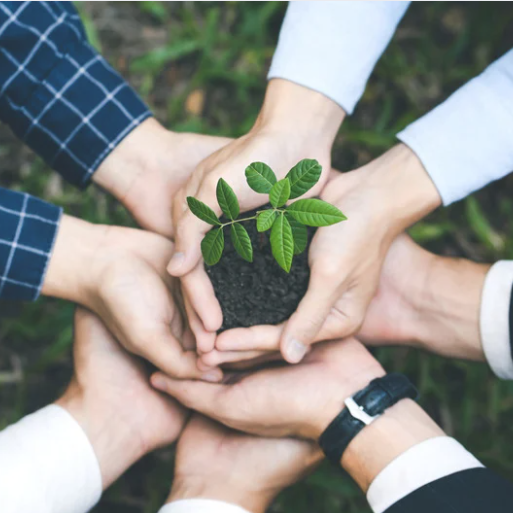 Working together to promote a local greener NHS - NHS Shropshire ...